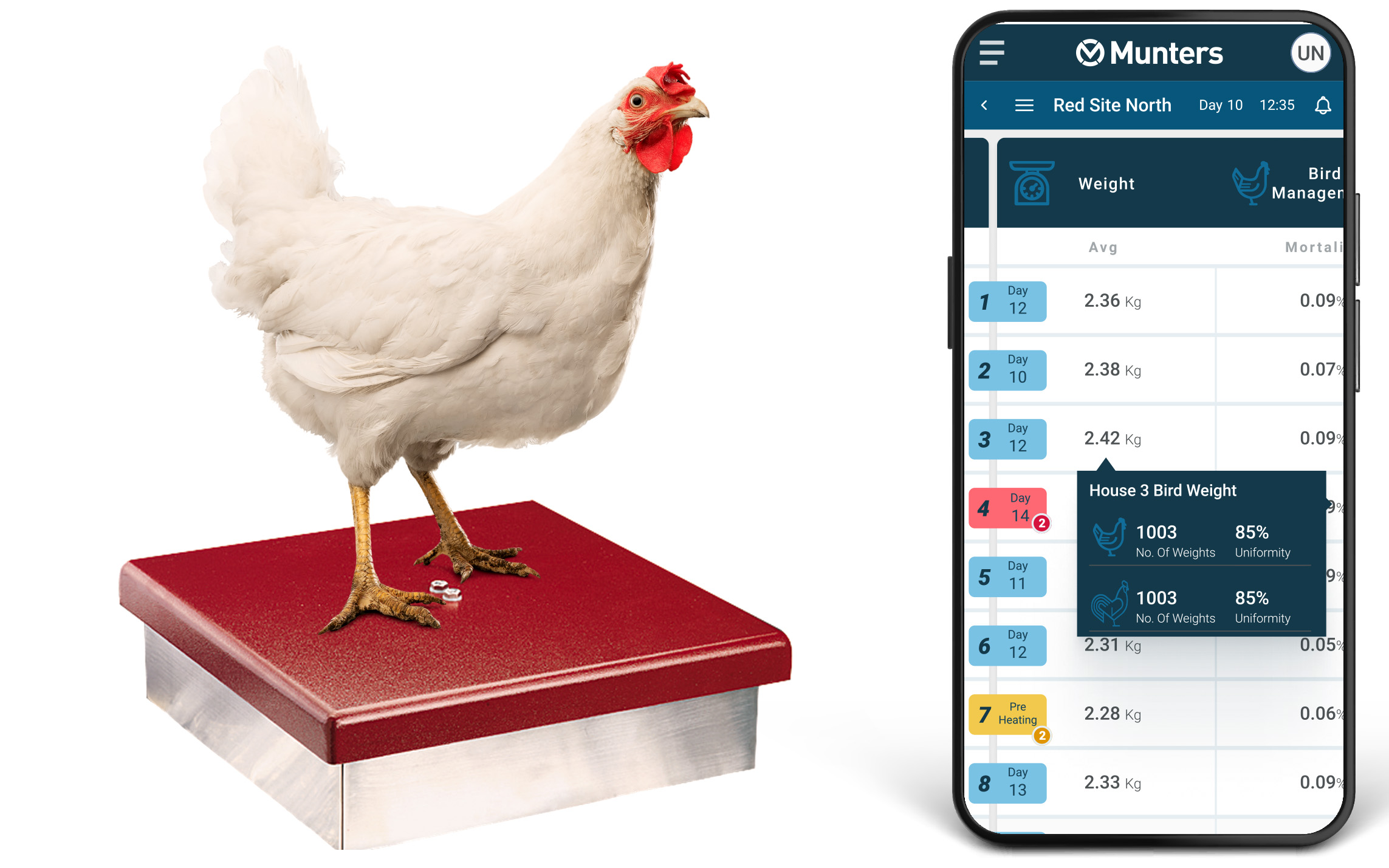 Broiler chicken weight gain | Munters